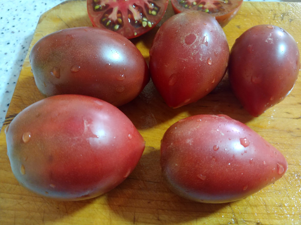 Ukrainean Purple (30 seminte) rosii prunisoare de culoare purpuriu ...