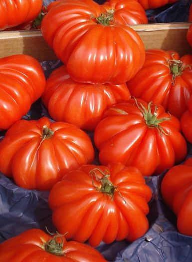 Seminte Rosii Crete - Seminte1