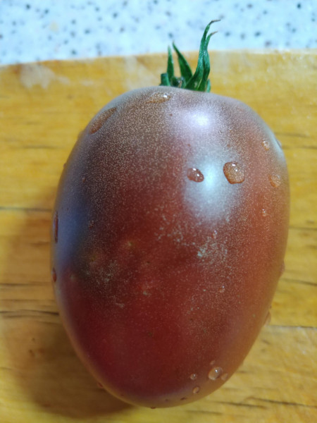 Ukrainean Purple (30 seminte) rosii prunisoare de culoare purpuriu ...