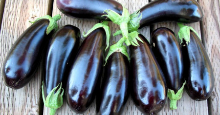 Seminte legume romanesti - Seminte1