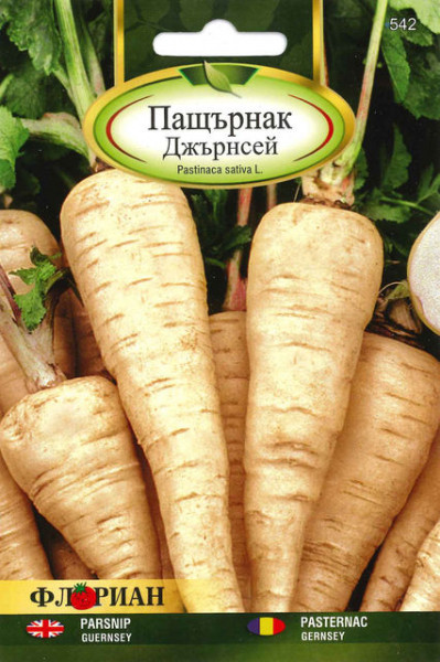 Pastarnac GERNSEY - 3 g - Seminte de Pastarnac GERNSEY Soi Rezistent ...