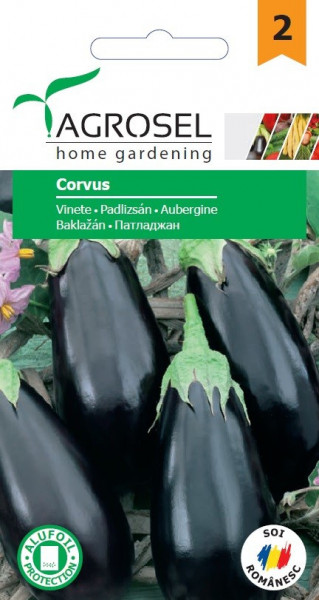 Seminte legume romanesti - Seminte1