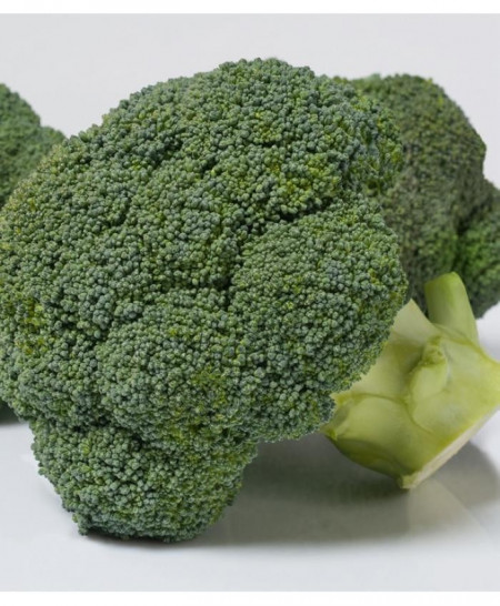 Coronado F1 (1000 seminte) broccoli ce leaga inflorescente compacte ...