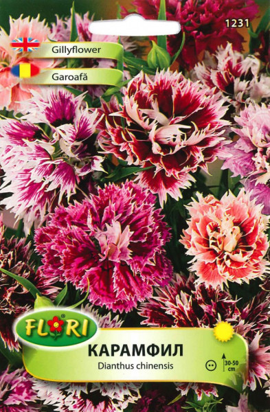 Garoafa Mix - Seminte Flori Garoafa Mix de la Florian