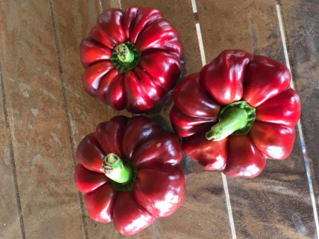 Gogosar VP fostul Zeleni Rotund (1500 seminte) de ardei gogosar fructe ...