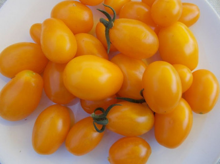 Corina (300 seminte) rosii cherry timpurii galbene cu fructe mici ...