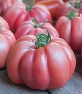 Monterosa F1 (250 seminte) de rosii roz nedeterminate foarte costate cu ...