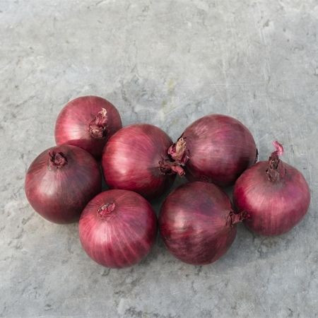 Robin (10.000 seminte) ceapa rosie cu sistem radicular puternic ...