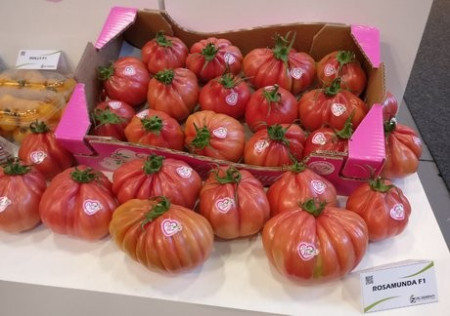 Rosamunda F1 (100 seminte) de rosii tip Inima de Albenga Roz, ISI Sementi