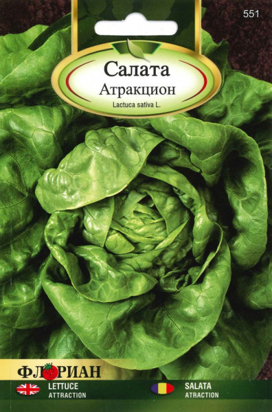 Salata Attraction - 2 gr - Seminte Salata Soi Timpuriu Capatana Marime ...