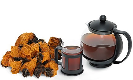 Chaga - pulbere - 50g - ciuperca de mesteacan