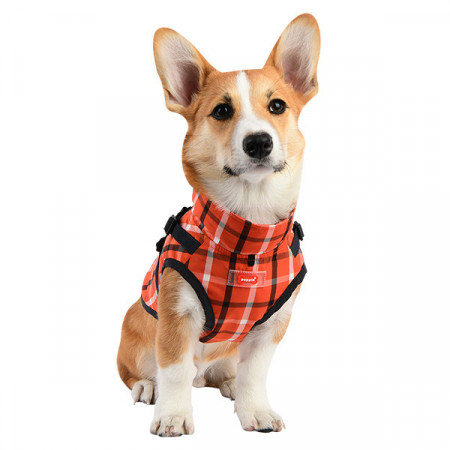 Haina caini Puppia Baxter (de ploaie)