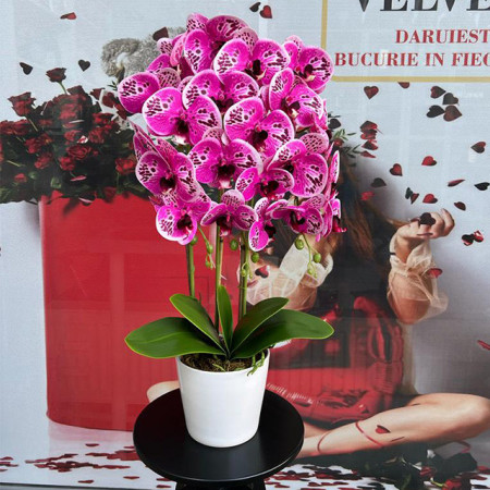 Orhidee artificiala cu aspect natural - un cadou special pentru ea