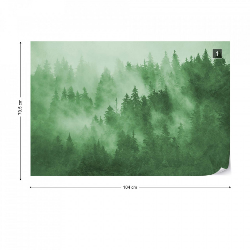 Fototapet - Pădure de Brazi în Ceață – Verde