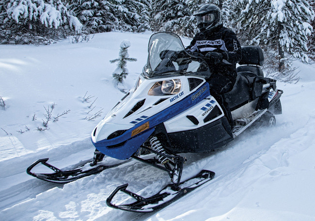 ARCTIC CAT BEARCAT 2000 LT