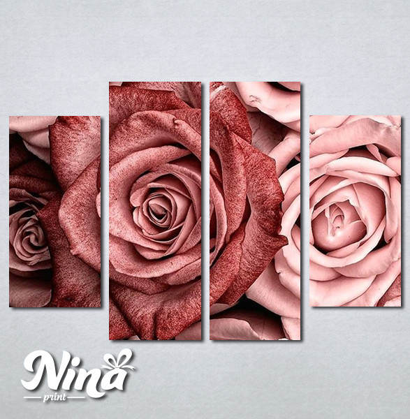 Slike na platnu Slike ruze Nina412_4