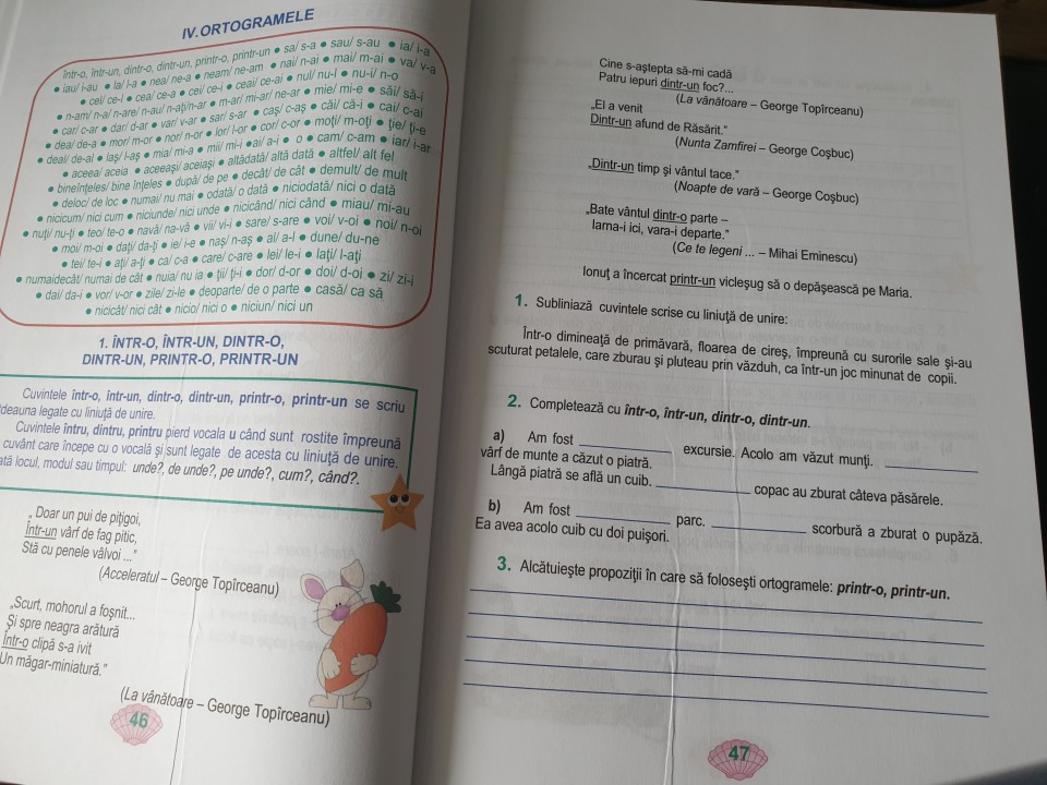 Ortografia și punctuația la clasele primare și gimnaziale