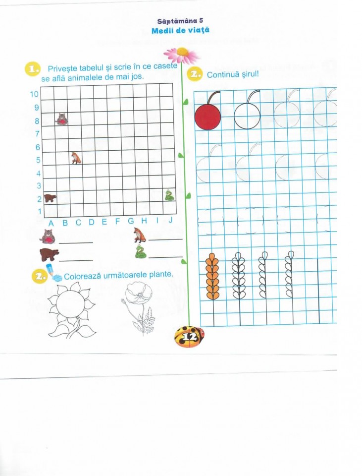 Micul Explorator, Matematică și explorarea mediului, Clasa Pregătitoare ...