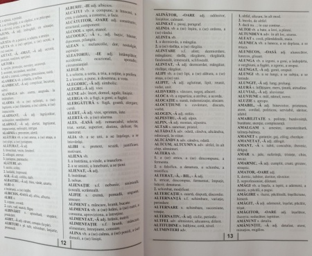 Dicționar - Sinonime, Antonime, Omonime, Paronime