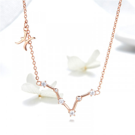 Colier Din Argint Constelatia PESTI cod ARG380k