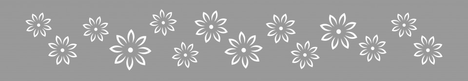 Sablon Refolosibil Repetitiv Bordura Flori Japoneze 1000*175mm - SP79-1