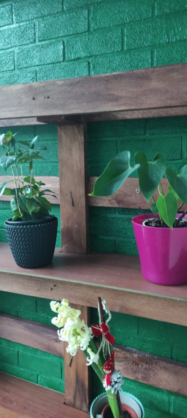 sablon perete, sablon zugravit, sablon pictat perete - eldes.ro ...