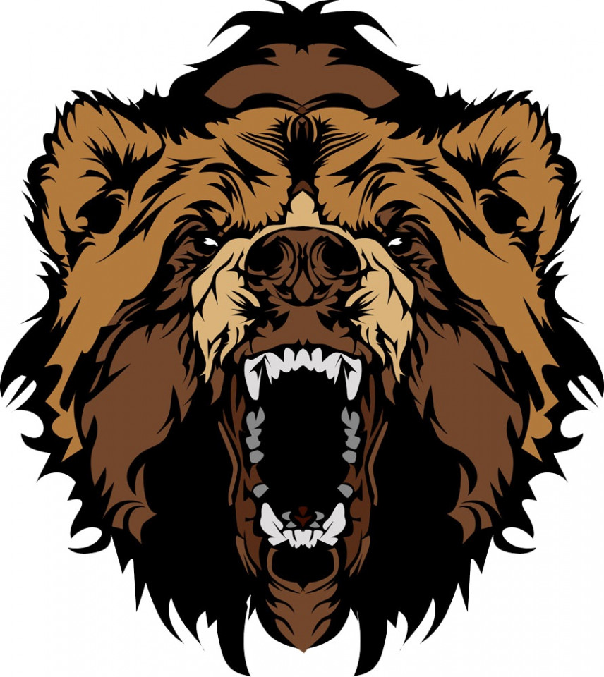 Sticker Color Cap Urs