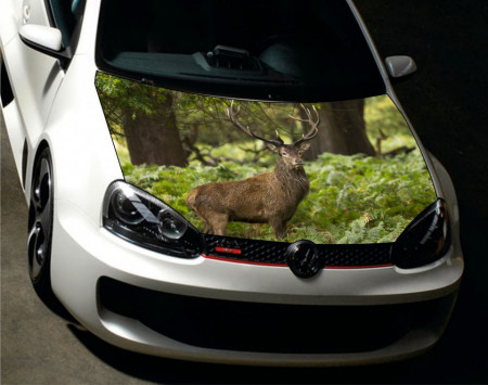 Sticker Autocolant Imprimat Capota Cerb