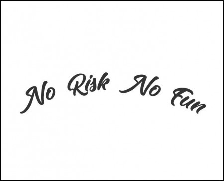 Sticker Auto No Risk No Fun
