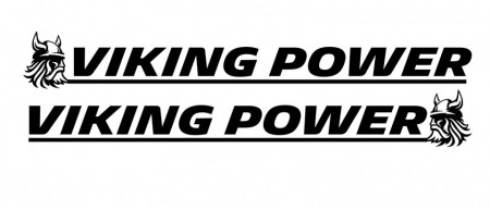 Set 2 buc stickere Viking Power