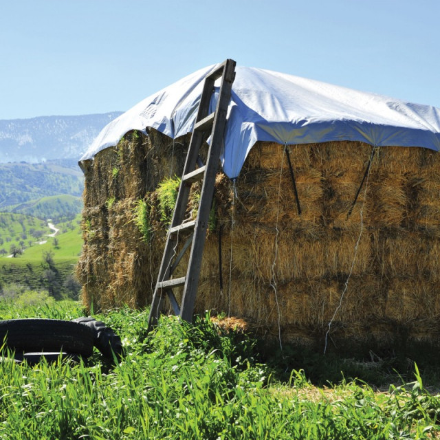 Prelata Impermeabila Cauciucata cu Inele 80 gr/mp