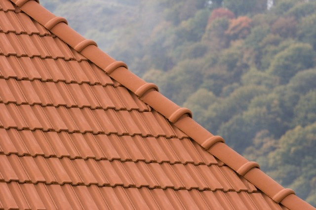 Tigla ceramica Terra Rosa Valahia 390x216 mm (Jgheab)