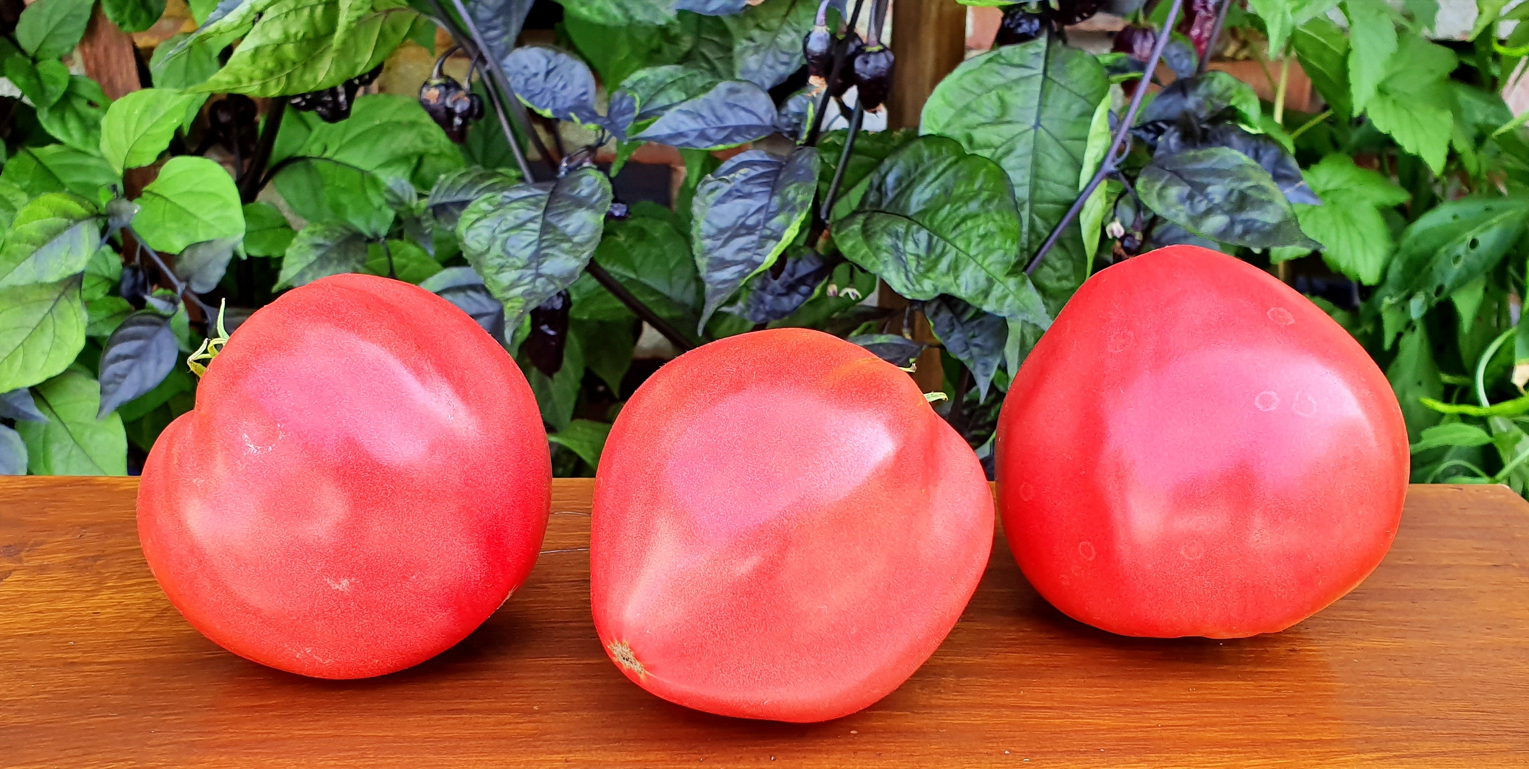 Rosii Inima de Bou roz (0,3 g), seminte soi timpuriu semideterminat ...