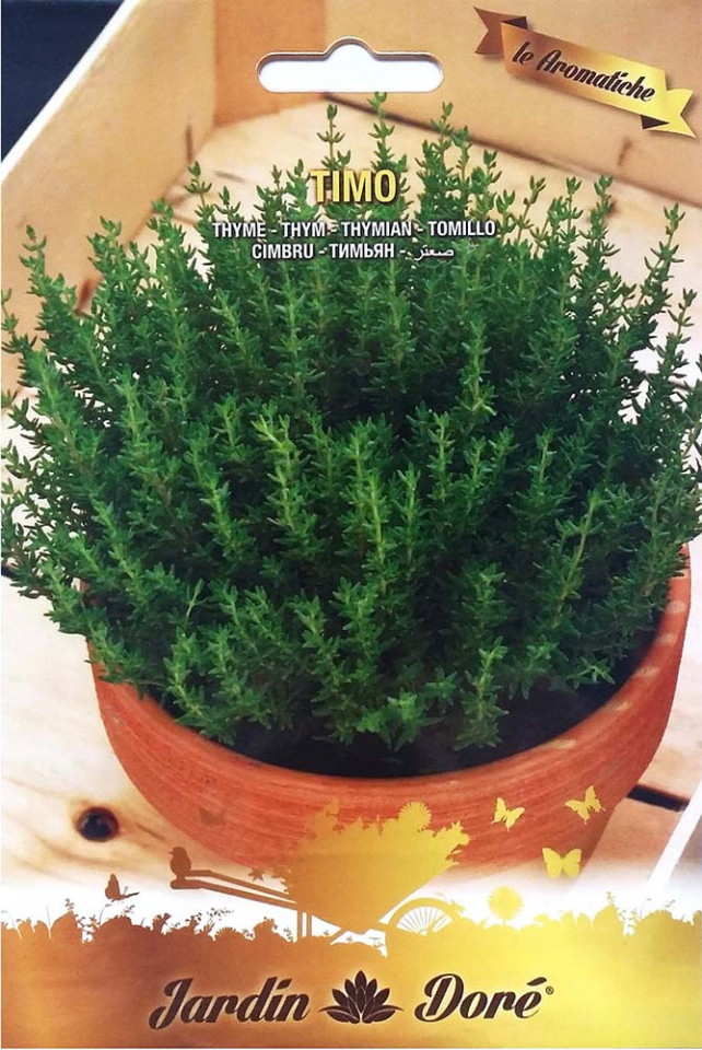 Cimbru (0,5 g), seminte planta aromatica perena, cimbru de gradina ...