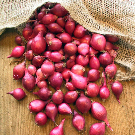 Arpagic rosu Red Karmen (1 kg), arpagic calibrul 10/21 mm, ceapa rosie ...