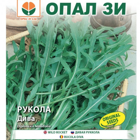 Rucola salbatica Diva (1 g), seminte planta timpurie, frunze carnoase ...